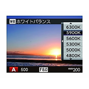 FUJIFILM FinePix X100 APS-C CMOS EXR Digital Camera with 23mm Fujinon Lens and 2.8-Inch LCD - International Version (No Warranty)