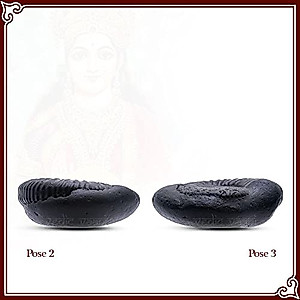 Vedic Vaani Sacred Varaha Lakshmi Laxmi Shankhu Shaligram Shila (Pack of 4)