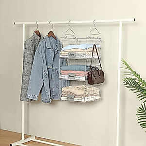 Sonyabecca 3 Tier Foldable Closet Hanging Organizer with Name Plate 5 S Hooks, Wall Mount&Cabinet Wire Storage Basket Bins, for Clothing Sweaters Shoes Handbags Clutches-Silver