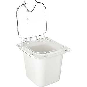 Carlisle FoodService Products CM10319Z07 Cold master EZ Access Lid with Notch, Sixth Size, Clear (Pack of 2)