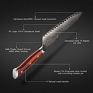 Chef Knife Damascus 8 Inch Japanese Professional Gyuto Vg10, High Carbon Steel Core With 67 Layer Stainless Steel Forged For Kitchen Cooking with Wood Handle