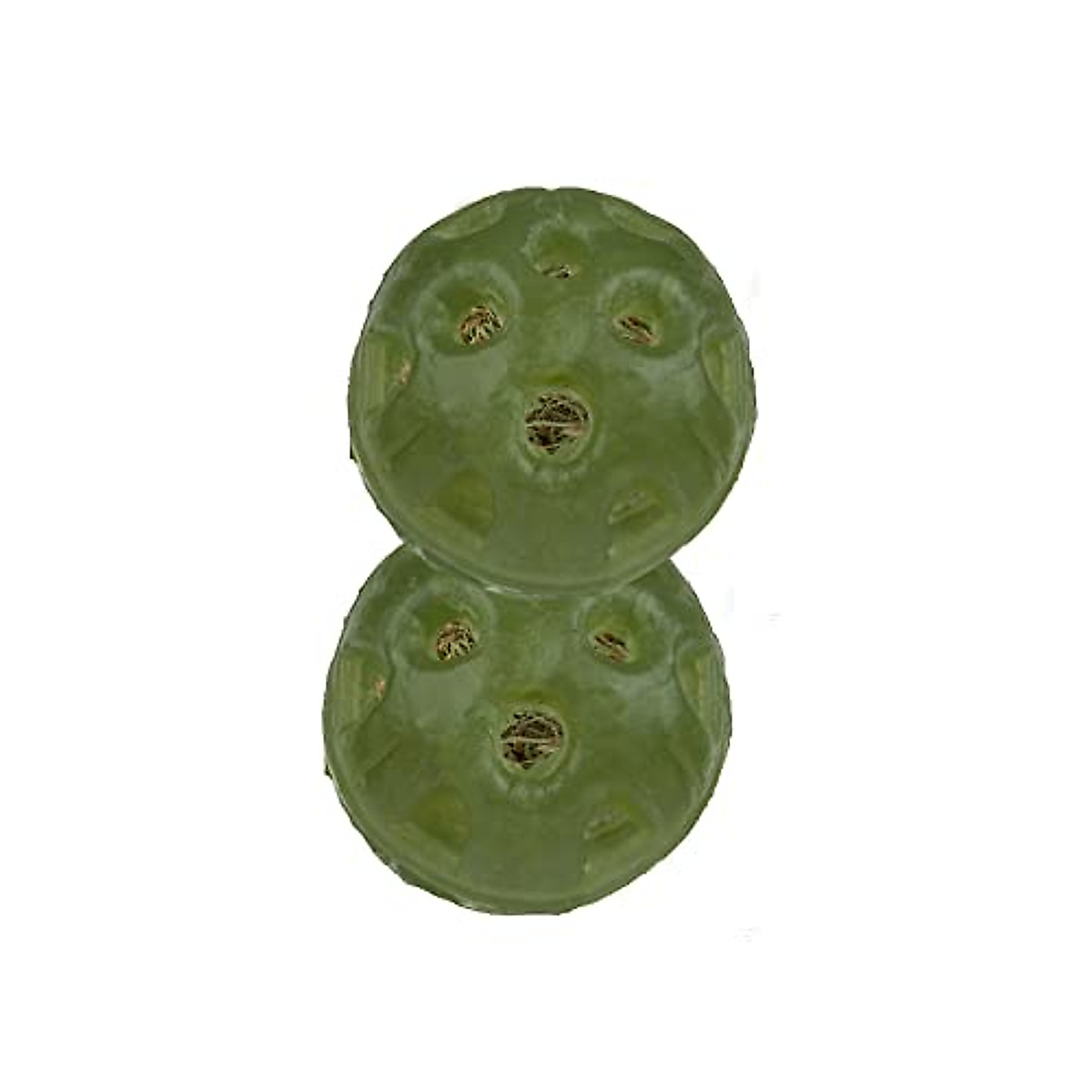 Wild Harvest® Foraging Instincts Roll n’ Play Interactive Treat, 2 Count, for Rabbits, Guinea Pigs and Chinchillas