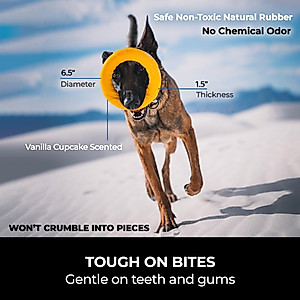 BULLTUG - Chew Ring & Fetch Ball Combo for Aggressive Chewers | Heavy-Duty, Ultra-Durable Natural Rubber, Tough Dog Toys for Medium to Large Breeds