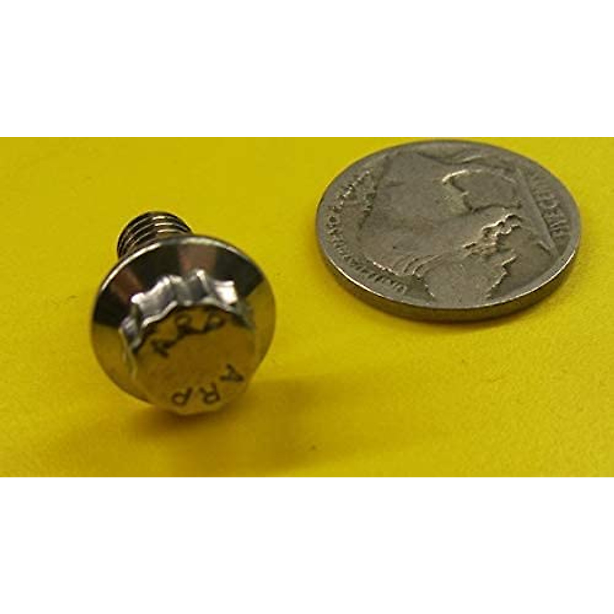 18-8 Stainless Steel 12 Point FT Bolts 1/4"-20 Thread x .500 Length 5 pcs