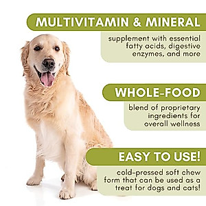 Wholistic Pet Organics: Multivitamin Chews for Dogs Organic Homemade Dog Treat for Medium and Small Dogs Calming Chews for Dogs Food Puppy Multivitamin Probiotics Immune Support Supplement