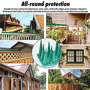 edola Bird Spikes for Outside 20 Pack, Squirrel Cat Dog Pigeon Deterrent, Plastic Animal Defender Spikes for Fence, Keep Cats Birds Away