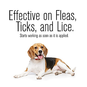 ZoGuard Plus Flea and Tick Prevention for Dogs, X-Large 89-132 lbs, 3 Months, 3 Doses