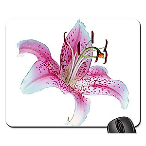 Mouse Pad - Lilly Bright White Pink Flower Flora Nature