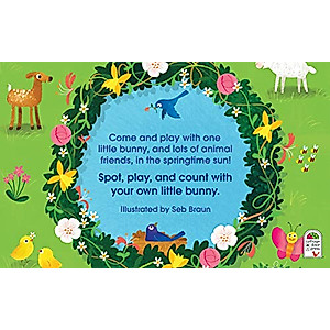 One LIttle Bunny: A Counting Playbook - Children's Board Book Gifts for Easter Baskets and Springtime Fun, Ages 1-5