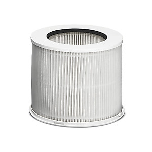 Clorox Tabletop Air Purifier True HEPA Replacement Filter, 200 Sq. Ft. Capacity, Removes 99.97% of Allergens up to 0.1 Micron, Compatible with 11020 & 11021, 1 Count (12020)