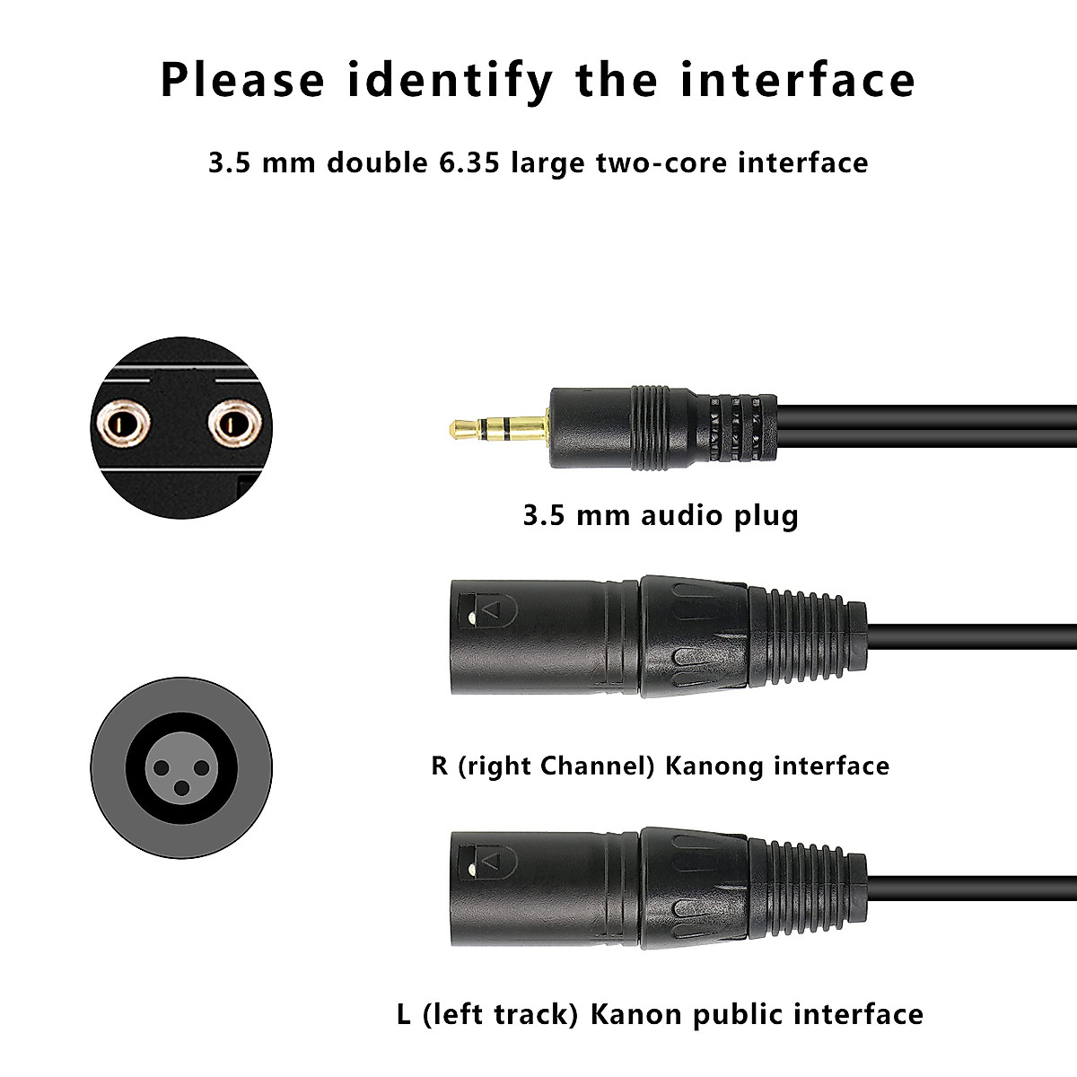 XMSJSIY 3.5mm to XLR Stereo Cable 1/8 TRS to 2 XLR Male Y Splitter Adapter Interconnect Audio Microphone Breakout Patch Cord for Studio Monitor Speakers, Laptop, DMX Adapter -1pcs