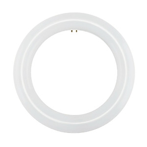 NYLL - 8 Inch/ 8" Plug & Play T9 Circline LED Lamp - Daylight (6000K) Circular Bulb Directly Relamp & Replace 22 Watt Fluorescent Bulb FC8T9/D (without rewiring or modification) - Ballast Required!