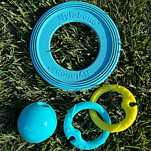 Nylabone Power Play Puppy Gum-a-Ball, Puppy Ball - Interactive Puppy Enrichment Toys - Puppy Must Haves (1 Count)