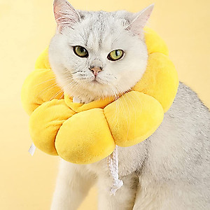 1Pc Elizabeth Collar - bite Collar cat Cone cat Recovery Cone Elizabethan Dog Surgery Collar Lick Cone Cute cat Neck Cone Hamster Recovery Collar After pp Cotton pet