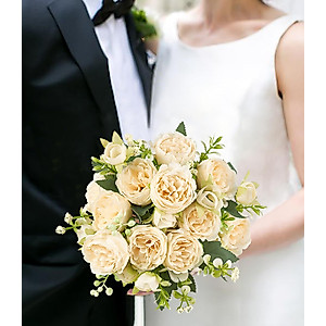 Mkono Peonies Artificial Flowers, Small Silk Flowers for Home Decor Indoor 2 Bundles Fake Bouquet Faux Floral Arrangements Dining Table Centerpieces for Kitchen Bridal Wedding Party Decor, Champagne