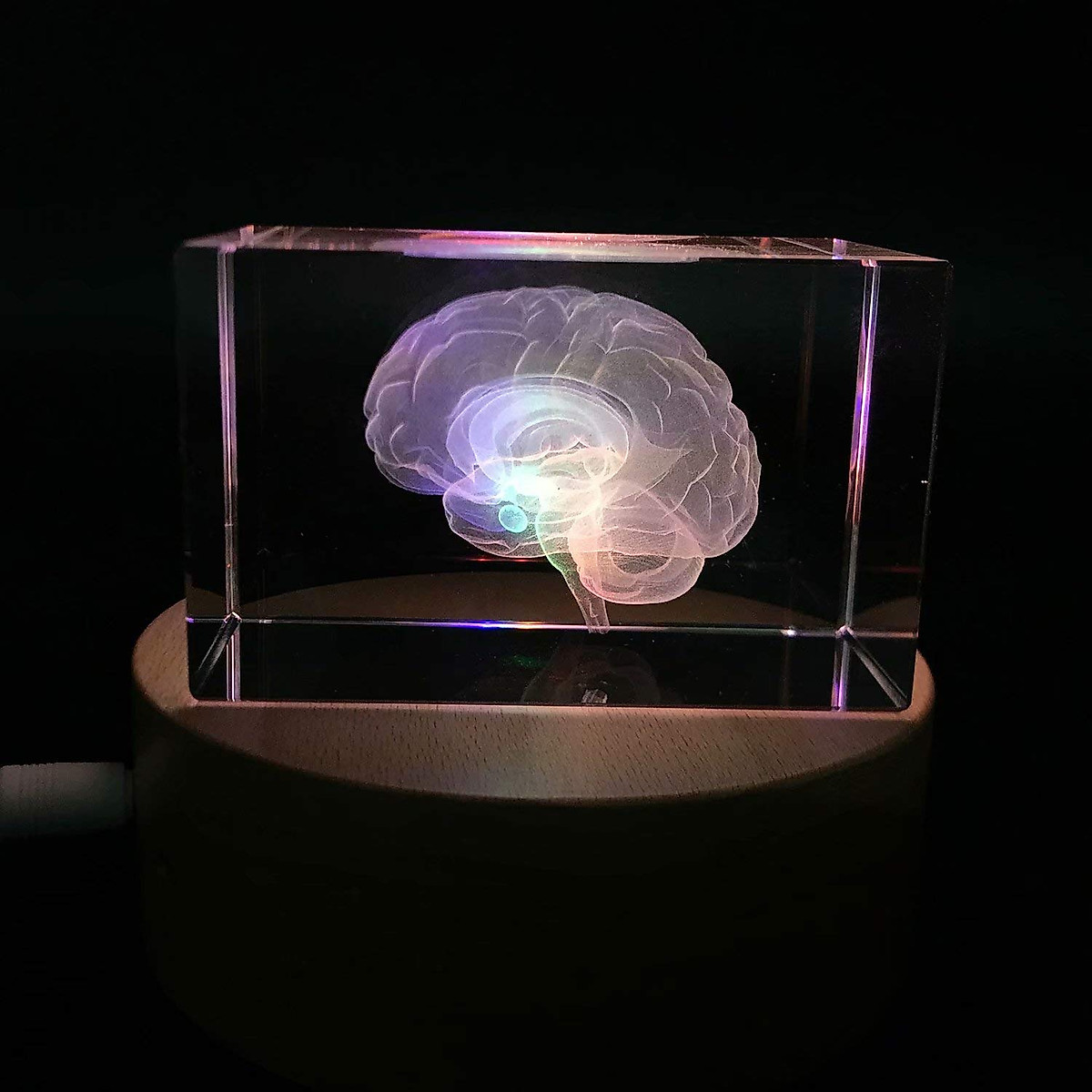 3D Human Brain Anatomical Model Paperweight(Laser Etched) in Crystal Glass Cube Science Gift (No Included LED Base)(3.1x2x2 inch)