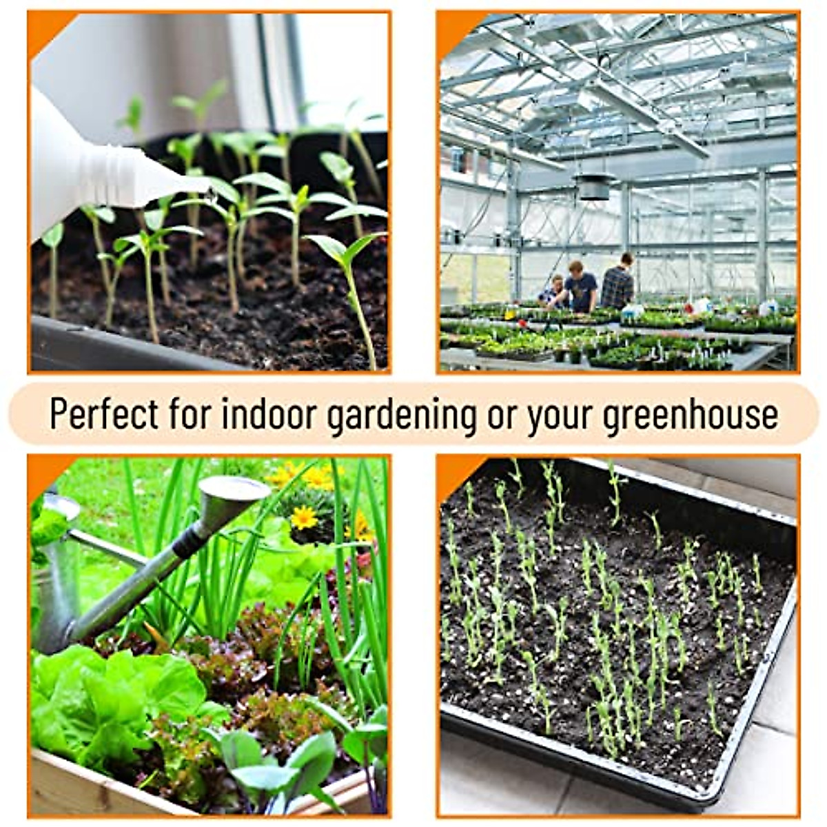 Mr. Pen- Plastic Growing Trays, 5 Pack, Black, Plant Tray, Seed Tray, Seedling Tray, Propagation Tray, Plant Trays for Seedlings, Planting Trays, Microgreens Growing Trays, Seedling Starter Trays