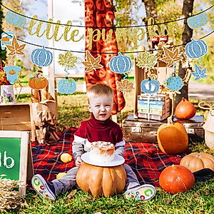 Little Pumpkin Baby Shower Deorations, Fall Leaves Blue Little Pumpkin Banner and Pumpkins Hanging Swirls, Fall Theme Boy Baby Shower Little Pumpkin Birthday Party Decorations