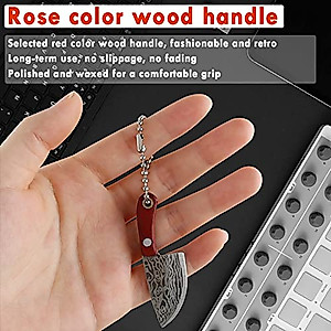 HX-CQHY Mini Knife Set Pocket Knife Damascus Chef Knives EDC Knife Set Tiny Knife Cleaver for Package Opener,Box Cutter,Set of 4,Fathers Day Gifts