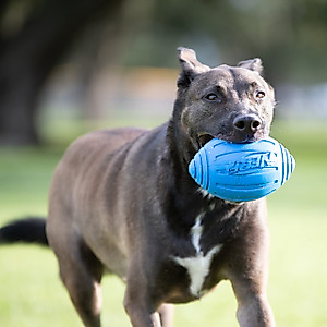 Nerf Dog Ridged Football Dog Toy with Interactive Squeaker, Lightweight, Durable and Water Resistant, 7 Inch Diameter for Medium/Large Breeds, Single Unit, Blue