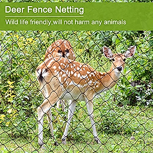 boknight Bird Netting for Garden, 25 X 50 feet Net Netting for Bird Poultry Aviary Heavy Duty Chicken Netting with Ropes& Cable Ties, 2.4 inch Square Mesh Size (25' x 50'-2.4'')