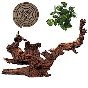 Hamiledyi Reptile Driftwood Decoration Natural Coral Driftwood Branches for Aquarium Reptiles Trunk Log Ornament Bendable Jungle Climbing Vines Decor for Bearded Dragon Lizad Amphibian Fish Tank