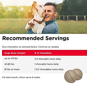 Nutri-Vet Advanced Strength Hip & Joint Chewable Dog Supplements | Formulated with Glucosamine & Chondroitin to Support Dog Cartilage & Mobility | 150 Tablets,RED