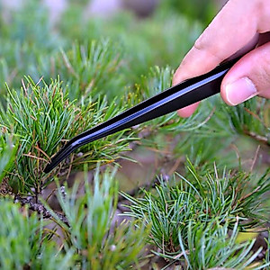 KAKURI Bonsai Tweezers Curved Serrated Tips with Spatula 8.8" Professional Bonsai Tool, Japanese Stainless Steel Black Coated, Made in JAPAN