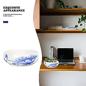 STOBOK Large Outdoor Planters Succulent Pots Ceramic Bonsai Flower Pot Large Round Planter Pot Blue White Porcelain Ceramic Shallow Flower Pot Planter Set for Indoor Outdoor Large Air Plants