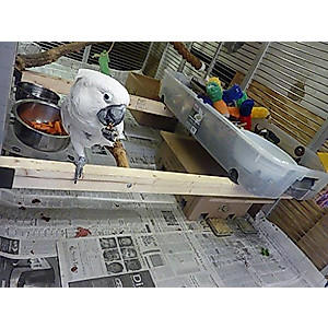 Natural Inspirations Parrot Cages Birdy Bracket 2x4 Holders (Black and Silver)