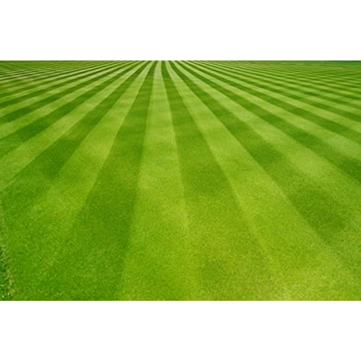 Terre Products, 2 Pack Medium Lift Lawn Mower Blades, 46 Inch Cut, Compatible with Craftsman, Husqvarna, Poulan, AYP, Replacement for 33266, 403107, 405380, 532405380