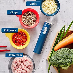 Cordless Food Chopper Electric, AYOTEE Portable Food Processor With USB Charging, Multi Speed Adjustable 2 Blades, 500Ml Bowl & 3 * 100Ml Bowl, Food Blender Suitable For Meat, Veggie, Nuts, Baby Food