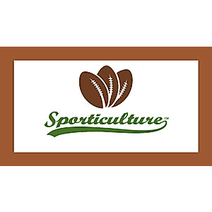 Sporticulture Chicago Bears 36 Inch Tall LED Torch Light-Emulates Flickering Flames-Auto On & Off Outdoor Waterproof Landscape Lighting Decoration-Security Light for Any Patio, Yard & Walkway