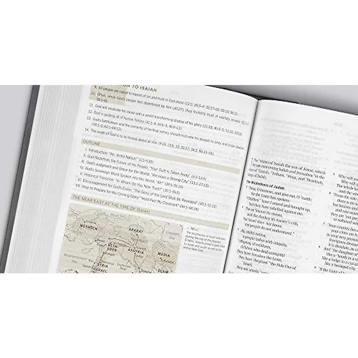 ESV Student Study Bible (Hardcover, Gray): Holy Bible, English Standard Version