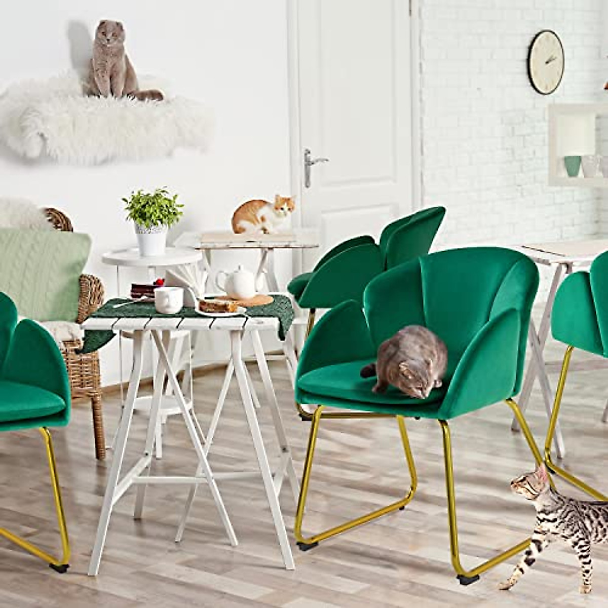 Yaheetech Velvet Dining Chair, Flower Shaped Armchair with Golden Legs, Upholstered Side Chair for Kitchen Dining Room Living Room, Set of 2, Green