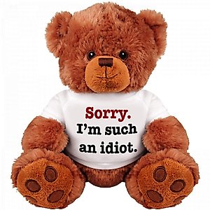 "SORRY I'M SUCH AN IDIOT" 13" Inch Teddy Bear - Cute And Cuddly : Funny Teddy Bear Couple Gift : Romantic Cute Teddy Bear Stuffed Animal