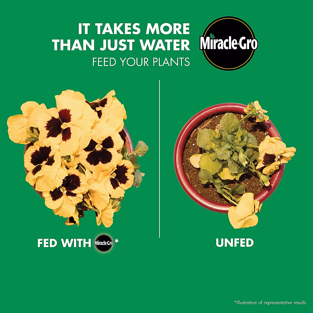 Miracle-Gro Liquafeed Universal Feeder Starter Kit 16oz