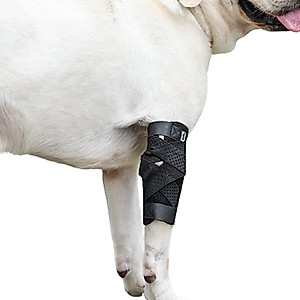 (S/M) Dog Leg Brace for Back Leg, Canine Hock Brace for Rear Legs with Dual Metal Strips, Joint Warps Strong Support Help for Hind Leg Injuries Sprains Arthritis Torn ACL(1Pair)