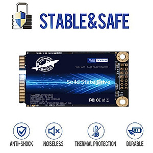 SSD mSATA 250GB Dogfish Internal Solid State Drive High Performance Hard Drive for Desktop Laptop SATAIII 6Gb/s Includes SSD 32GB 60GB 64GB 120GB 128GB 240GB 250GB 480GB 500G 1TB (250GB MSATA)