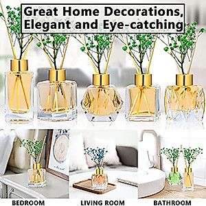 Diffuser Glass Bottles Set of 5 DIY Empty Clear Glass Fragrance Bottle with Gold Caps Reeds Sticks Vase Decorative Diffusers for Home Office Desk Decoration Wedding Replacement Girl Women