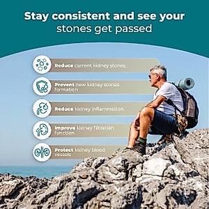 PUREHEALTH RESEARCH Kidney Health Formula - Complete Kidney Cleanse Solution from Effective Kidney Stones Dissolver with Chanca Piedra Stone Breaker for Ultimate Kidney Support - 1 Bottle