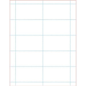NextDayLabels 100# Tag Blank 10 Per Page White, Laser/Ink Jet Business Card Stock (1000)