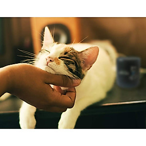 iCalmPet | Through a Cat's Ear: Cat Calming | MicroSD Card | 3-hrs | Specialized Music to Soothe Feline Stress