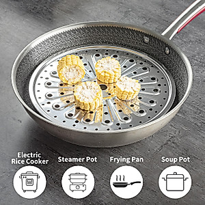 3 Pack Pressure Canner Rack, Canning Rack 11-Inch Stainless Steel Steam Canners Canning Supplies Cooking Food Water Bath Cooker Canner Rack Compatible with Presto, All-American Canner and More