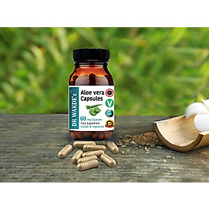 DR WAKDE'S Rasna Capsules (Pluchea lanceolata, 60 Veg Caps, Plant-Based Supplement, Ayurvedic Herb, All Natural, Vegan)