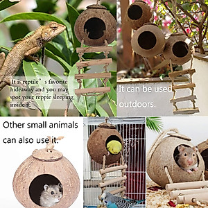 Gecko Coco Den Reptile Hideouts, Raw Coconut Husk Hut for Leopard Gecko, Sturdy Hanging Home, Climbing Porch, Hiding, Sleeping & Breeding Pad