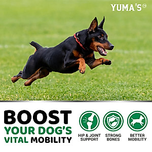 YUMA'S Hemp Hip and Joint Supplement for Dogs - Glucosamine for Dogs - 170 Dog Joint Pain Relief Chews - Chondroitin, MSM - Hemp Oil - Advanced Dog Joint Supplement Health - Mobility Support Treats