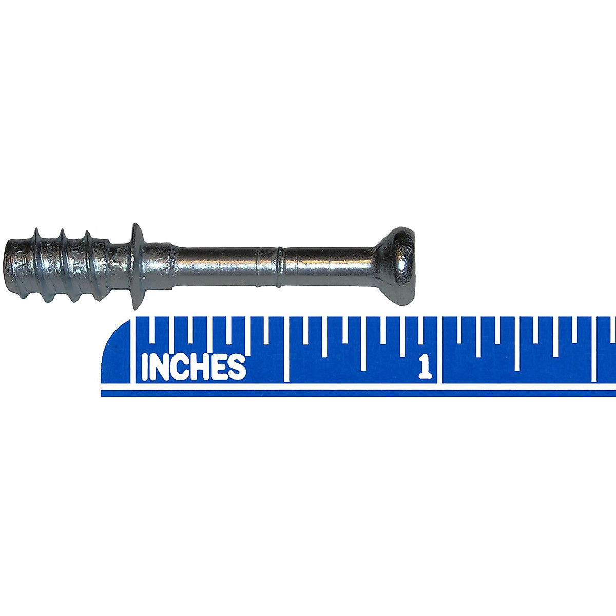 24mm (34mm Overall) Dowel Pin for Cam Lock Disc Furniture Connectors 10mm Long Euro Wood Thread Fits 5mm Hole (10 Pack)