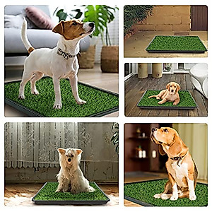 VKMUOI 19 x 23 in Dog Grass Pad with Tray Pet Training Pads with Tray Reusable Fake Grass for Dog to Pee on Dog Litter Box-Indoor/Outdoor Dog Potty Tray with Pee Pads
