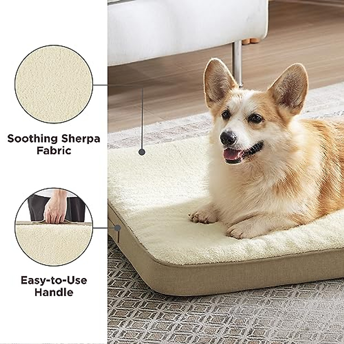 Lesure Orthopedic Dog Beds for Medium Dogs - Egg Crate Foam Puppy Bed with Ultra Soft Sherpa Surface&Removable Cover, Machine Washable Waterproof Dog Bed with Non-Slip Bottom(Curds&Whey,30x20x3inch)